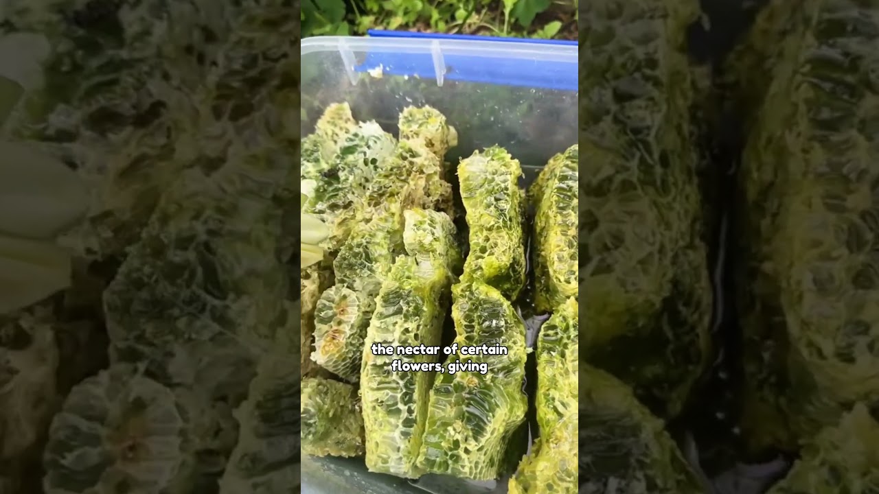 Rare natural green Honey  #shorts