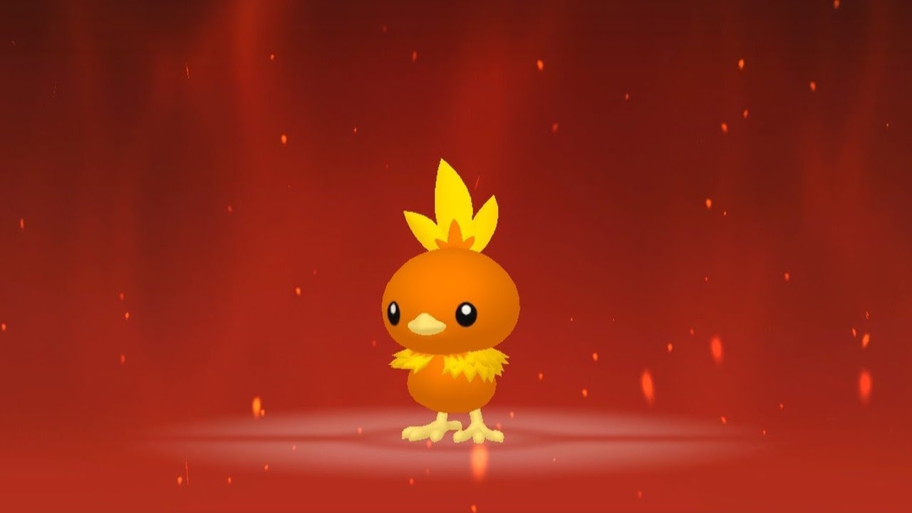 Pokédex #255: Torchic