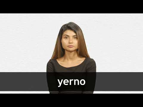 English Translation of “YERNO” | Collins Spanish-English Dictionary