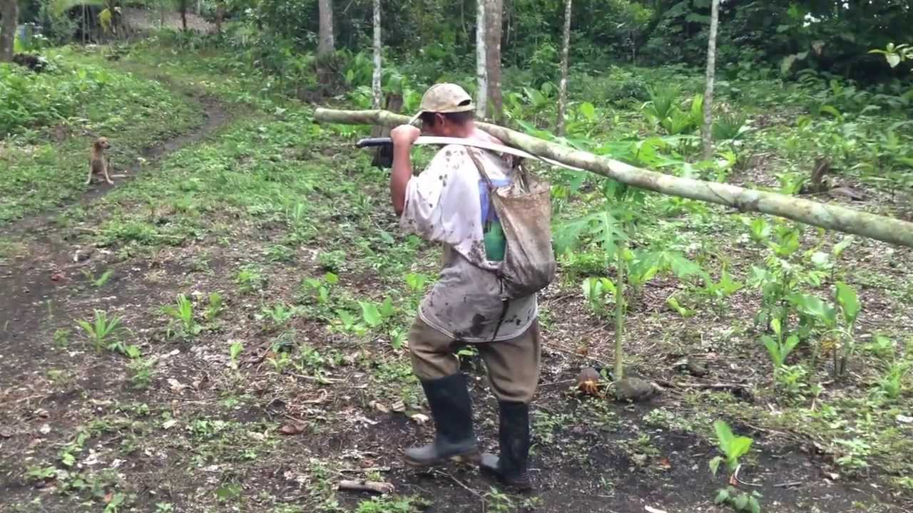 GS4-E Indigenous peoples, local livelihoods and forests