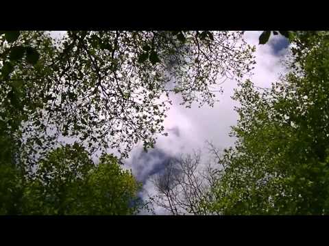 Au début du printemps