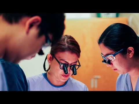 See Yourself as a UW Fellow // Meet Suzanne van Landingham, MD
