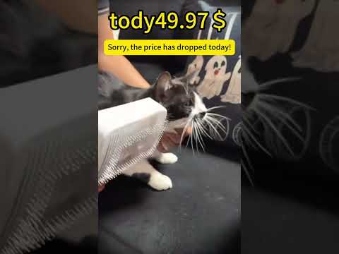 #Meow #Halloween #dog #dogs #grooming #petgrooming #doglover #puppy #petstylist