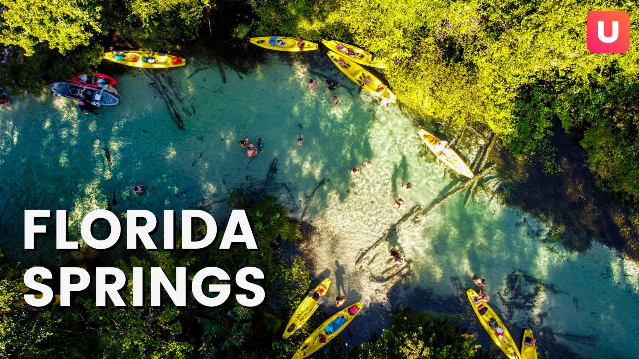 Outdoor Activities in Tampa Bay: 10+ Things to Do