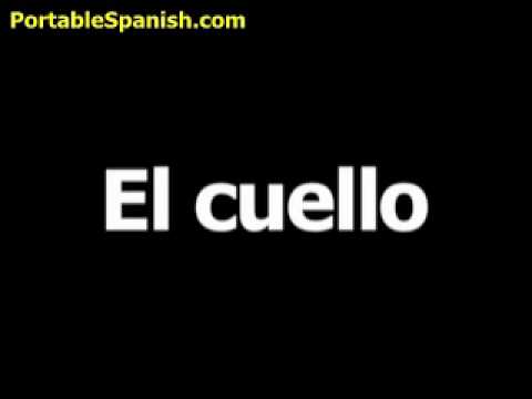 Spanish word for neck is el cuello