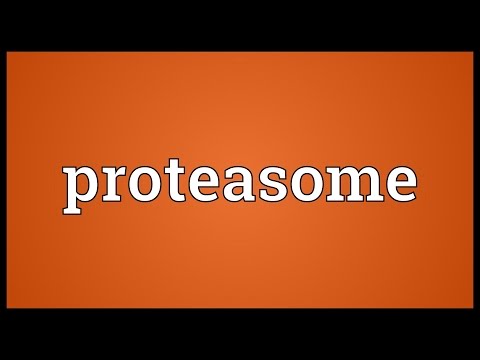 Proteasome Meaning