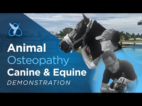 Osteopathy with Zoo Ost Ltd
