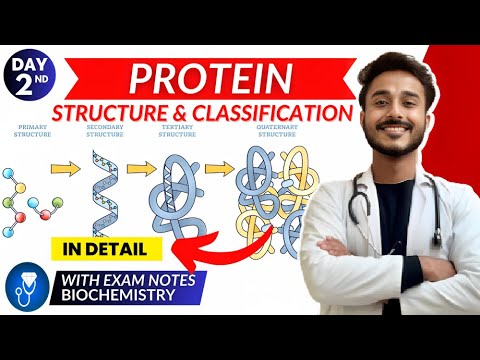 protein biochemistry | structure of protein biochemistry | classification of protein