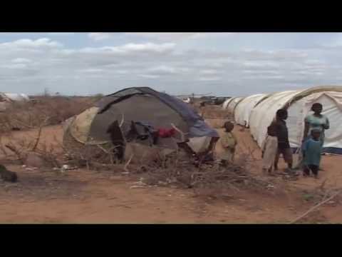 Update on the Dadaab refugee camp refugee camp closure