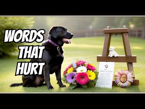 7 Things You Should Never Say to a Grieving Pet Owner