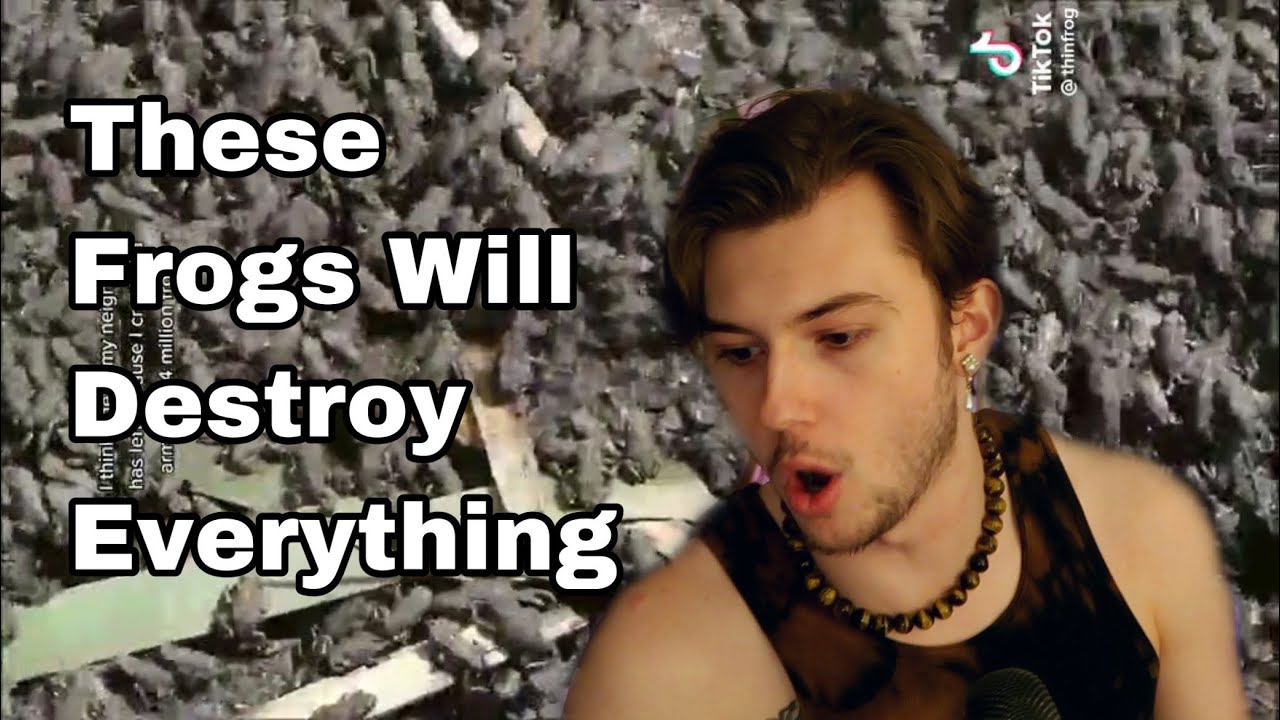 This Tiktoker Made a Frog Army