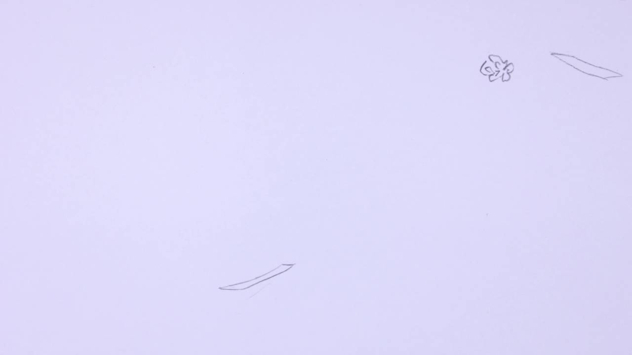 Falling Object Exercise