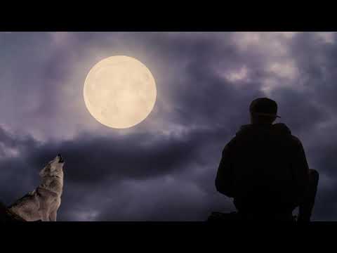 The call of the wild - Explore books @AC