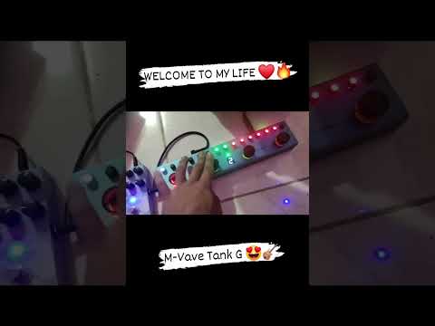 WELCOME TOY LIFE! | M-VAVE TANK G 😍🔥🎸