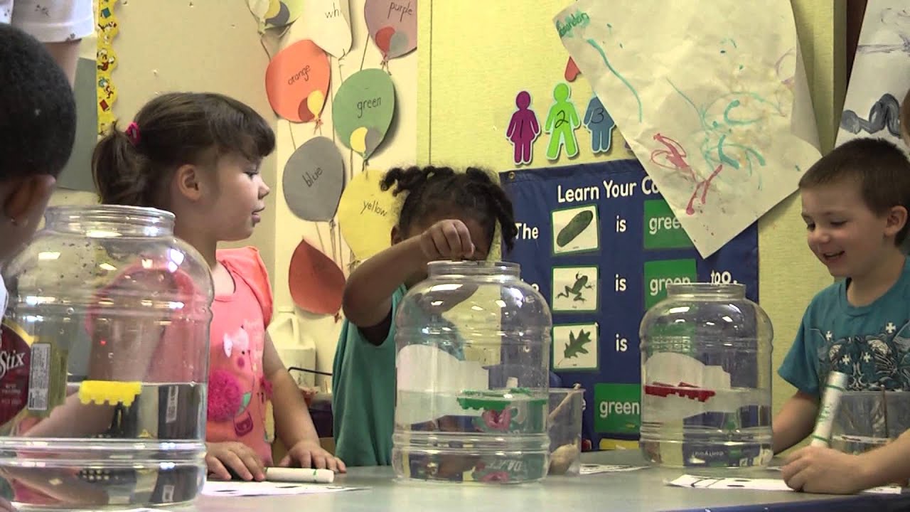 Milissa Albright - Sink or Float Classroom