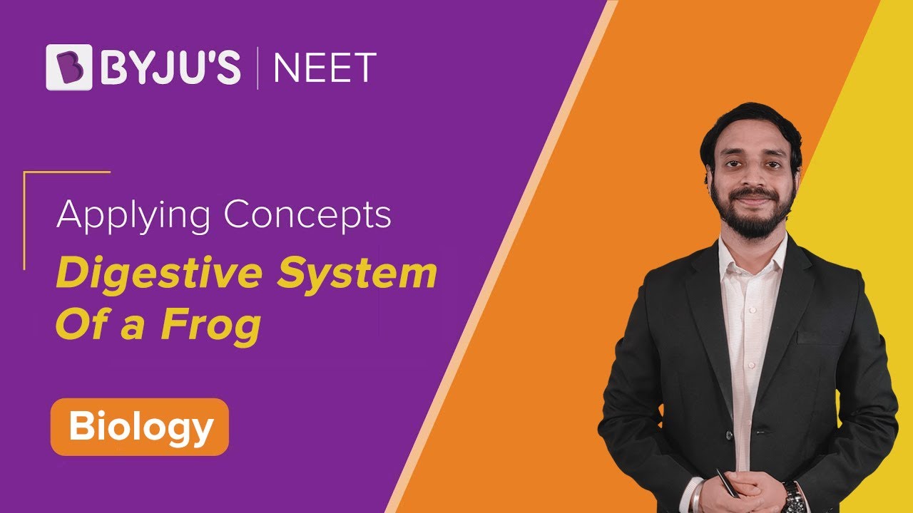 Applying Concepts: Digestive system of Frog | Biology | NEET