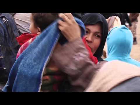 Refugee or Economic Migrant?