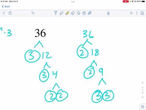 Math-Drills: Prime Factor Trees (4 to 48)