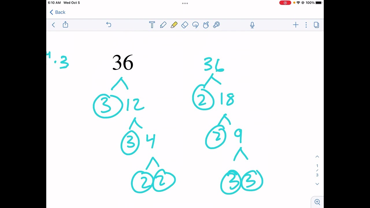 Math-Drills: Prime Factor Trees (4 to 48)