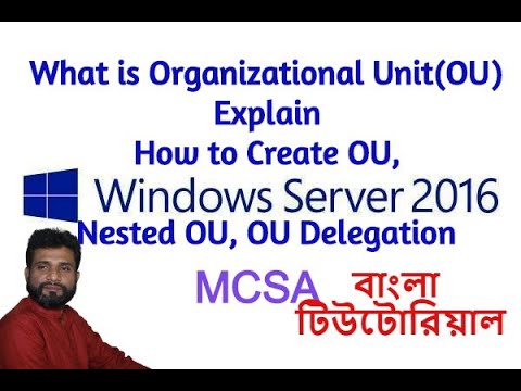 Day 14 What is Organizational Unit OU in Active Directory Windows Server 2016 Bangla