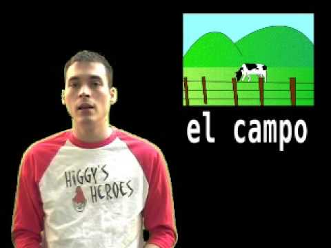 Using the verb IR (to go) in Spanish!