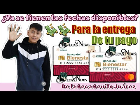 Benito Juárez Scholarship Payment Dates 2025 Check the Delivery Calendar Now