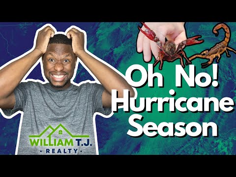Environment Climate and Weather In Houston Texas