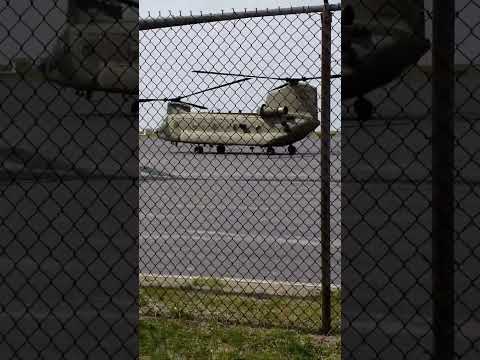 Chinook's Buffalo NY