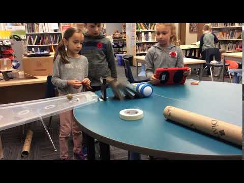 IMG 11811