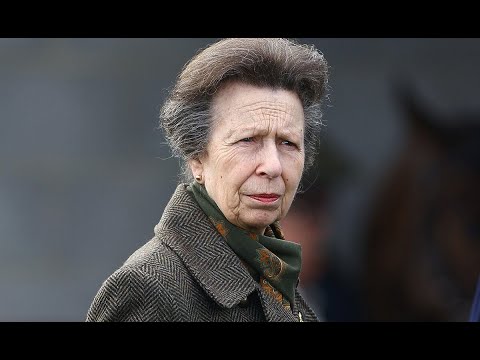 Princess Anne's thinly veiled dig at Harry and Meghan in monarchy discussion