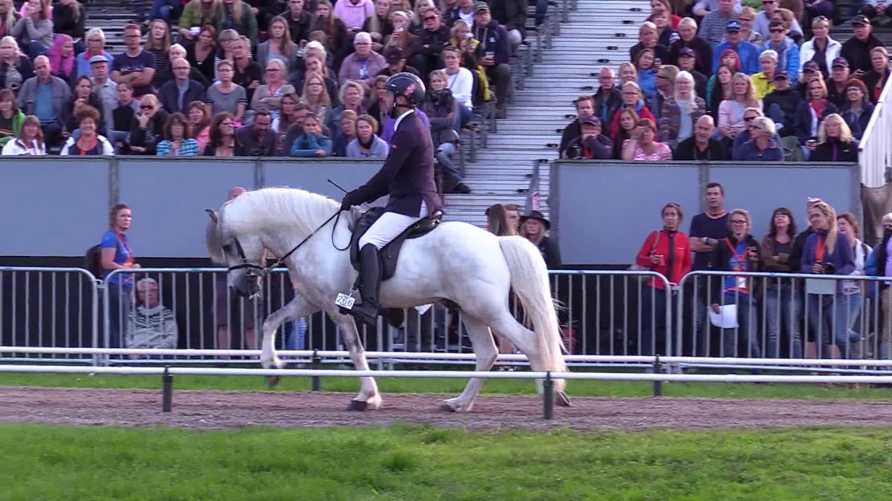 World Championships | FEIF