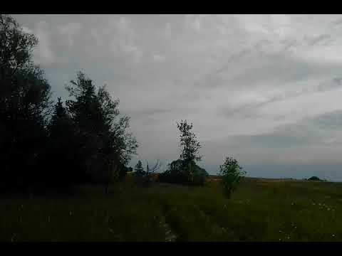 Moving Trees Phenomena - part 3