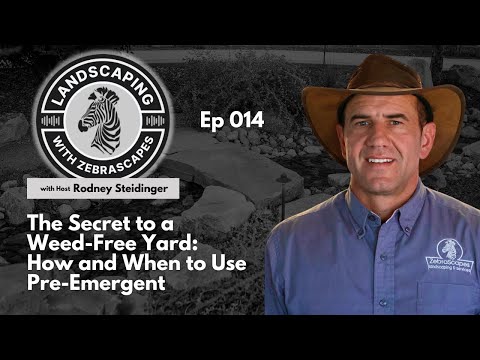 The Secret to a Weed-Free Yard: How and When to Use Pre-Emergent