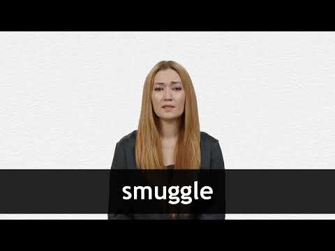 SMUGGLE definition and meaning | Collins English Dictionary