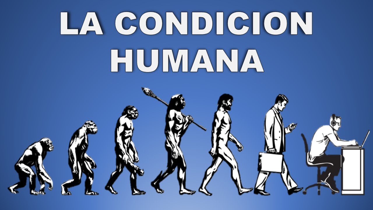 ¿Por qué es importante la condición humana? – ACUT.NET