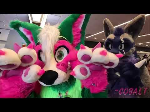 Cobalt's Anthrocon 2024 - Catch Me If I Fall, Anthrocon Con Video #AC2024 #furry