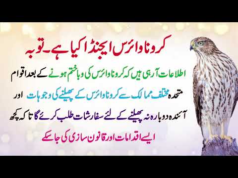 Informative Video About Viral Diseases | Important Video In Urdu Hindi | Islamic Videos In urdu