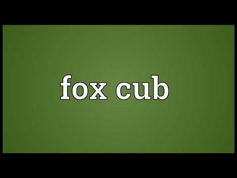 Fox cub Meaning