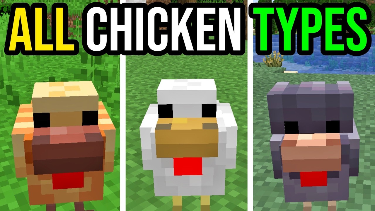 How To Find EVERY Chicken Variant In Minecraft!