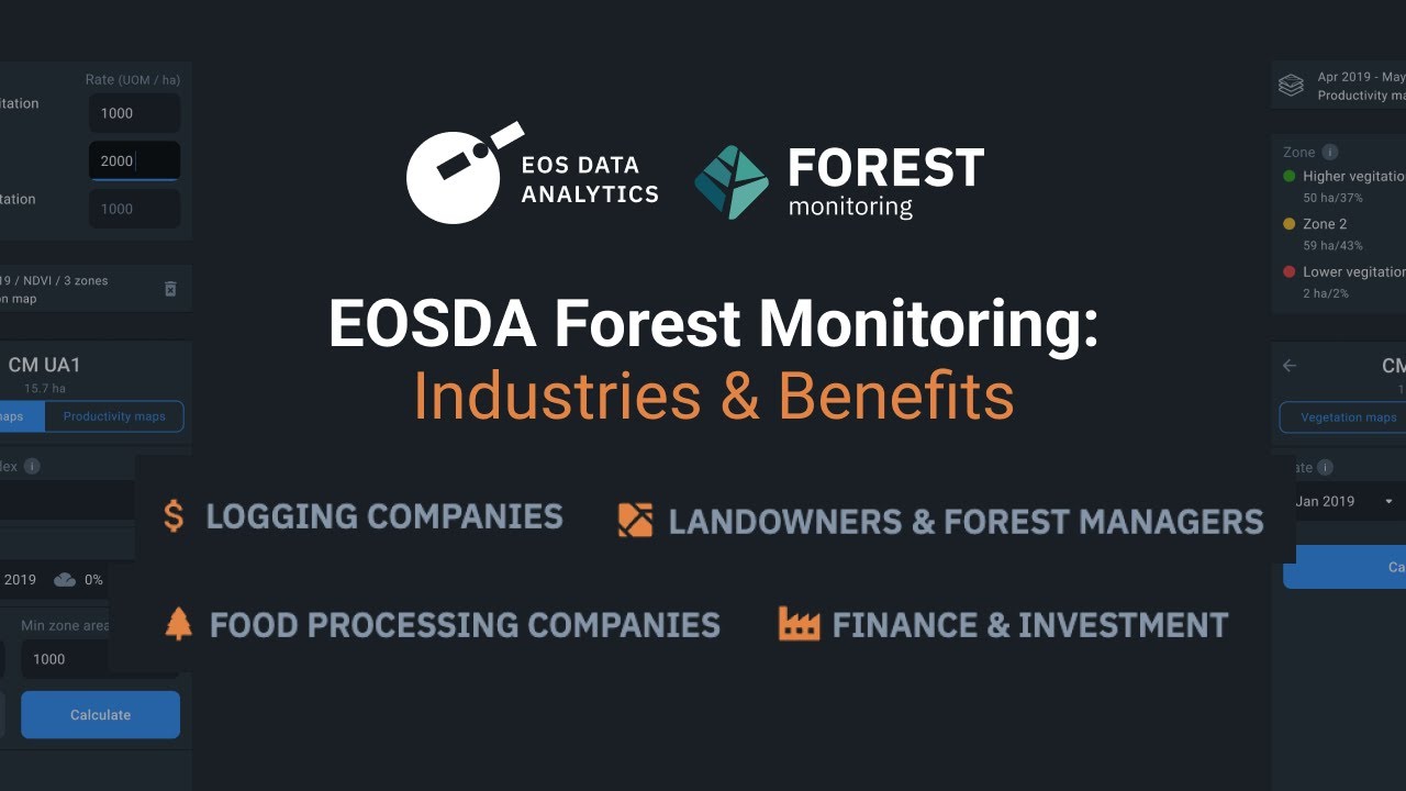 Industries that Benefit from Satellite-Based Forestry Management Software - EOSDA Forest Monitoring