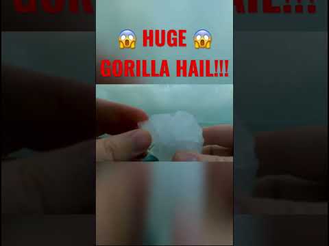 Large Gorilla Hail near Hot Springs, South Dakota