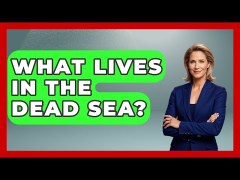 What Lives In The Dead Sea? - The Geography Atlas
