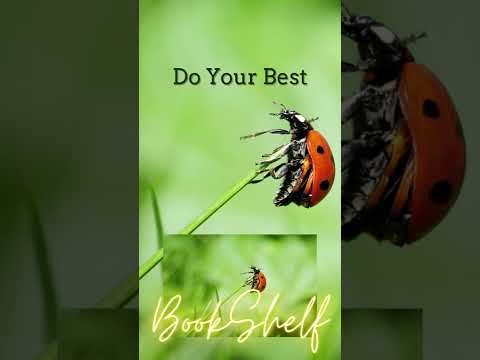 Do your best #BookShelf