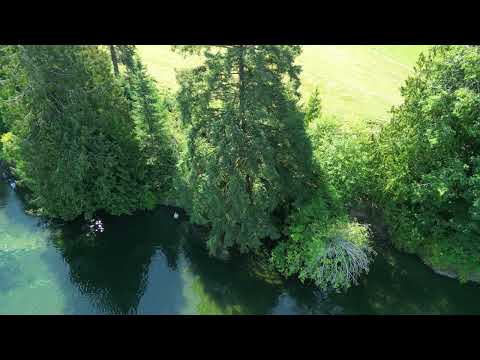 somass river fish
