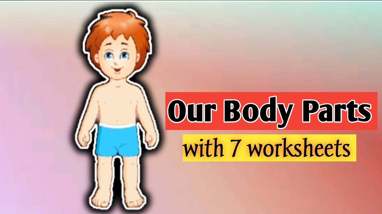 Our Body Parts || 7 Helpful Worksheets On Body Parts||