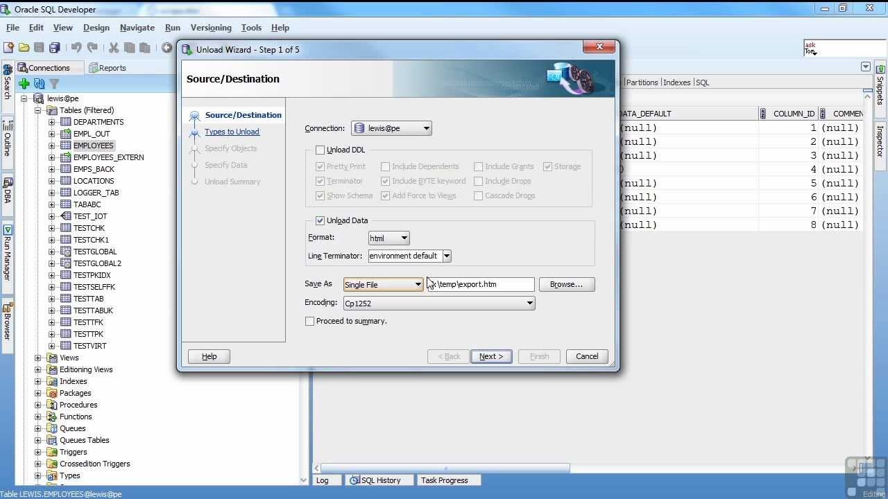 Oracle 11G Tutorial | Loading Data via SQL Developer | InfiniteSkills Training