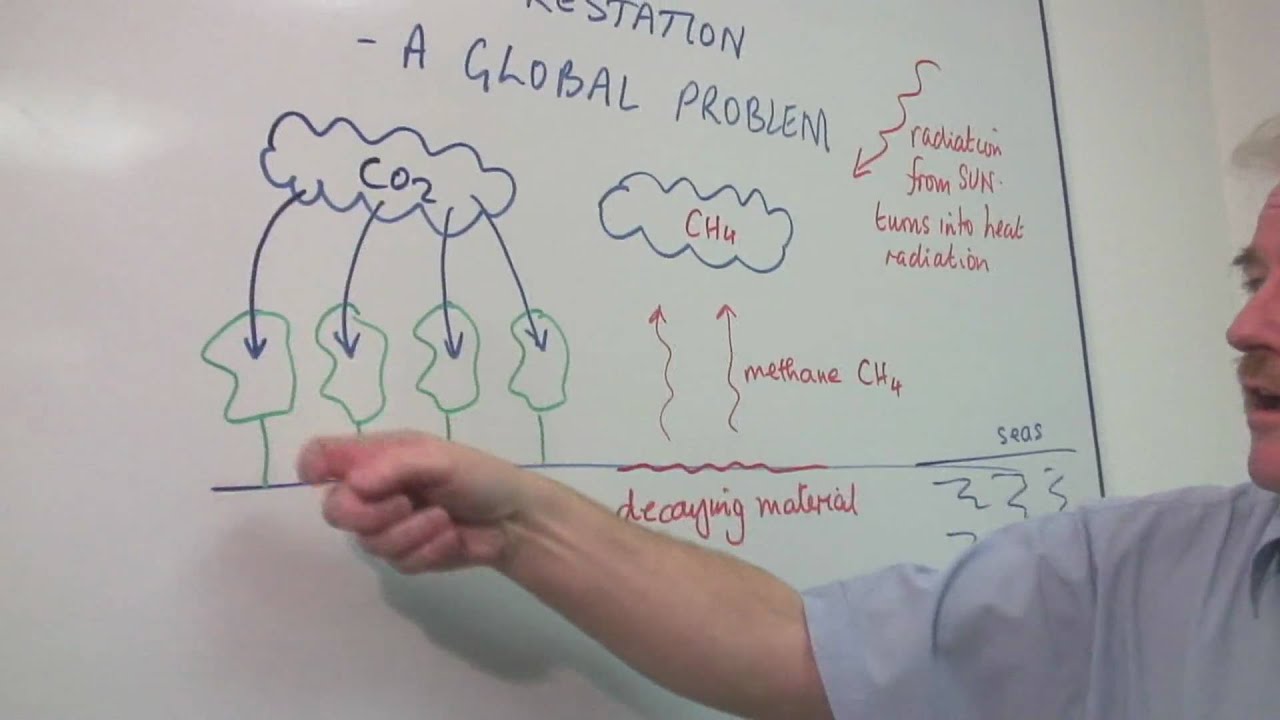 Science & Environmental Facts : Why Is Deforestation a Global Problem?