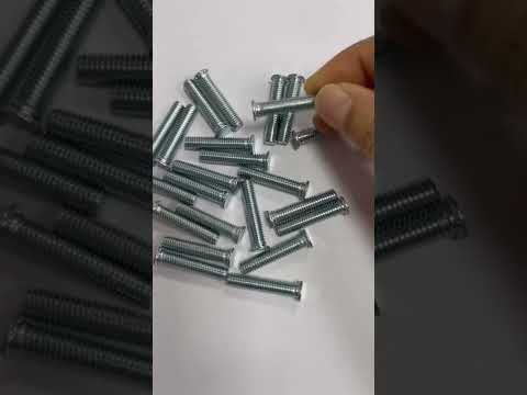 FH M6 30 Pressure Riveting Bolt Screw Factory