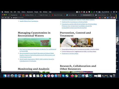 EPA Guidelines On Managing Toxic Cyanobacterial Algae Blooms