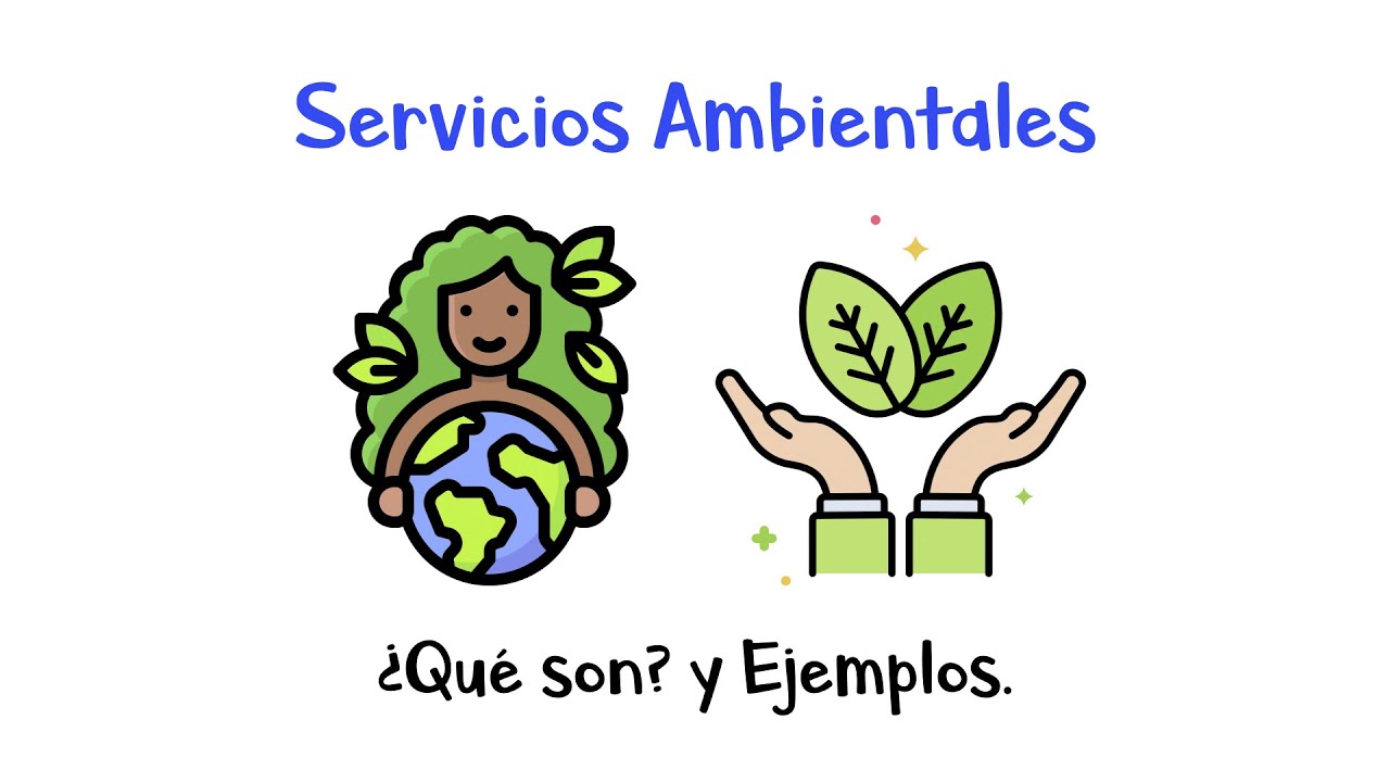 🌳🌬 What are Environmental Services? 🌧🍎 Examples [Quick & Easy]